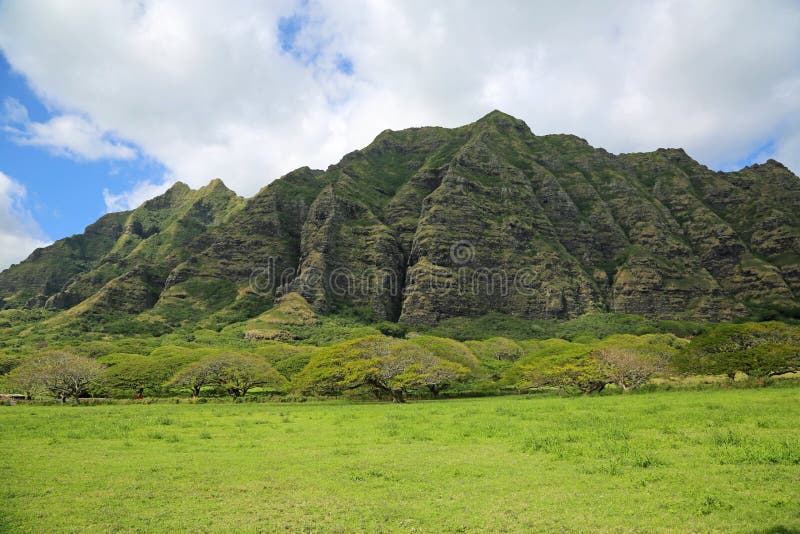Kualoa Ranch stock image. Image of outdoors, grass, blue - 56035327