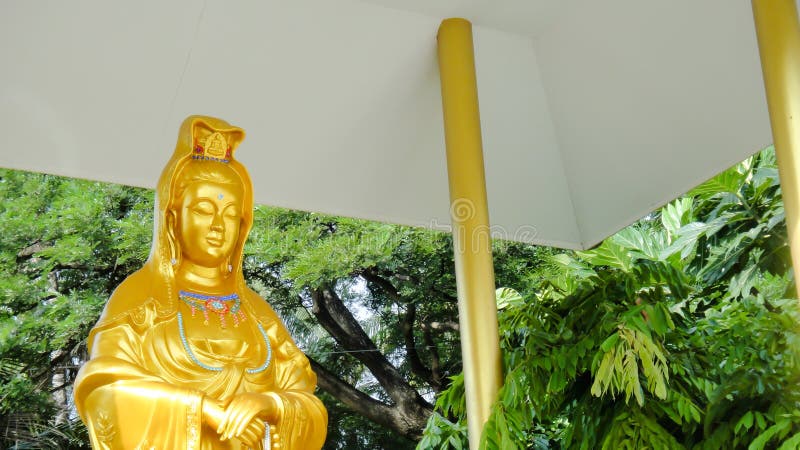 Kuan Yin stock photo. Image of asian, prayer, decorative - 82161254