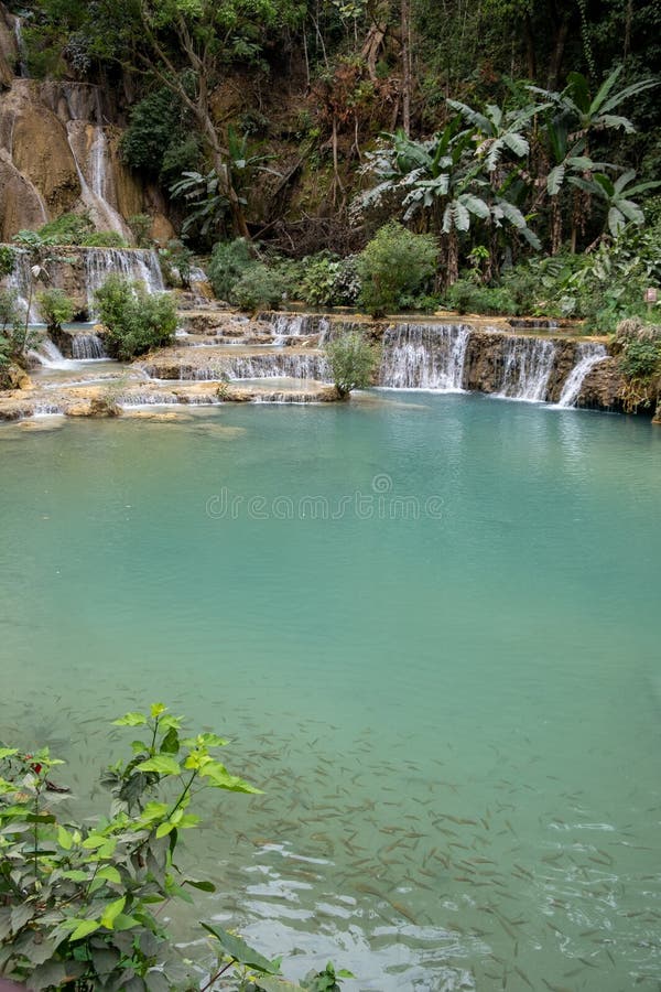 The Kuang Si Waterfall , Lung Prabang, Laos Stock Image - Image of ...