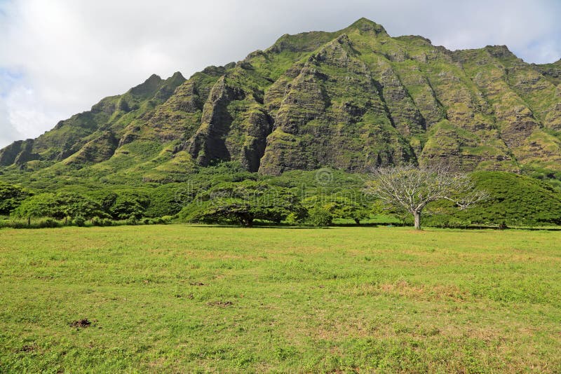 Kuaola dramatic cliffs stock image. Image of oahu, cliffs - 37070845