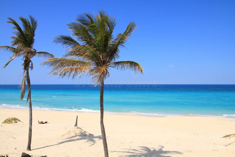 Kuba-Strand stockfoto. Bild von frech, cocos, baum, besichtigung - 61692744