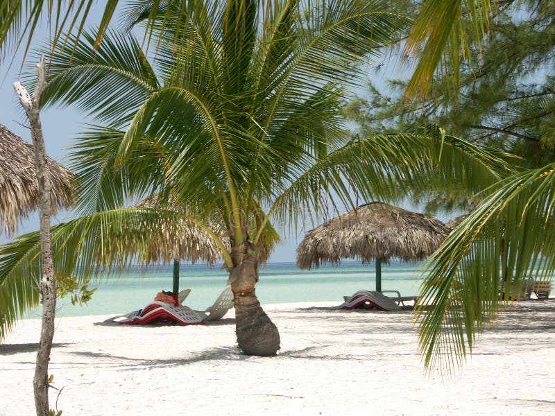 Kuba-Strand stockfoto. Bild von ruhepause, küste, zieleinheit - 6496664