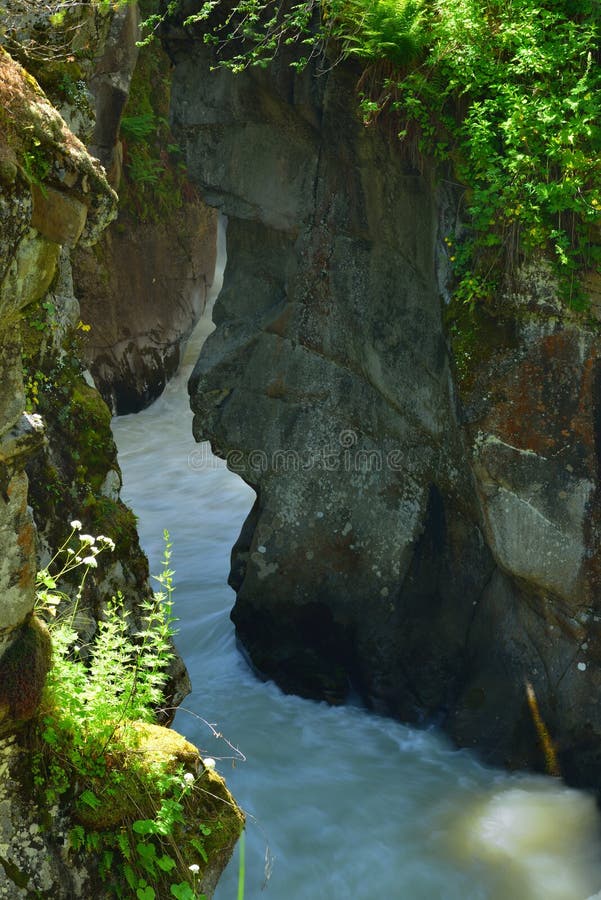 Kuban in mountains stock image. Image of kuban, mountains - 42256877