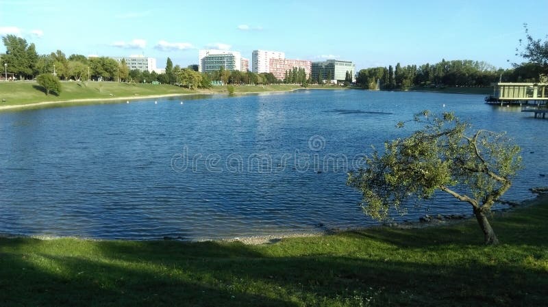 Lake Kuchajda in the Center of Bratislava, Slovakia Stock Photo - Image ...