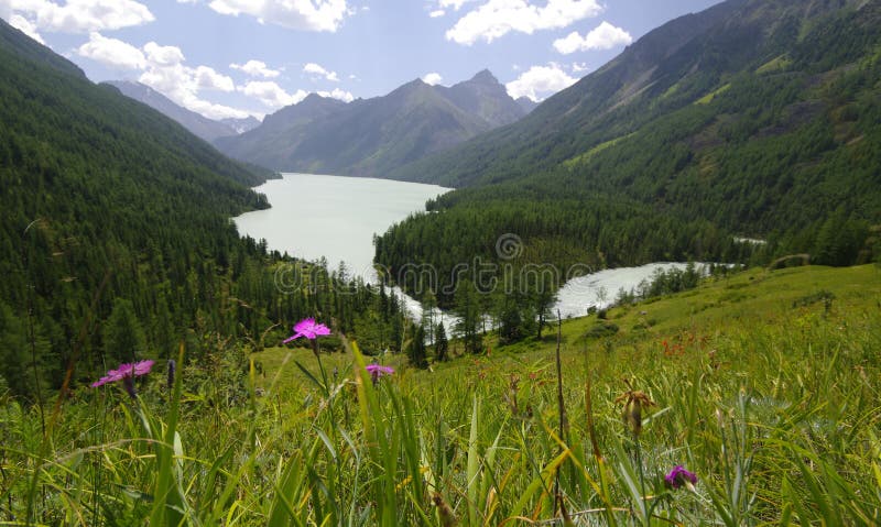 Kucherlinskoe Lake, Altay, Russia Stock Photo - Image of horizon, range ...