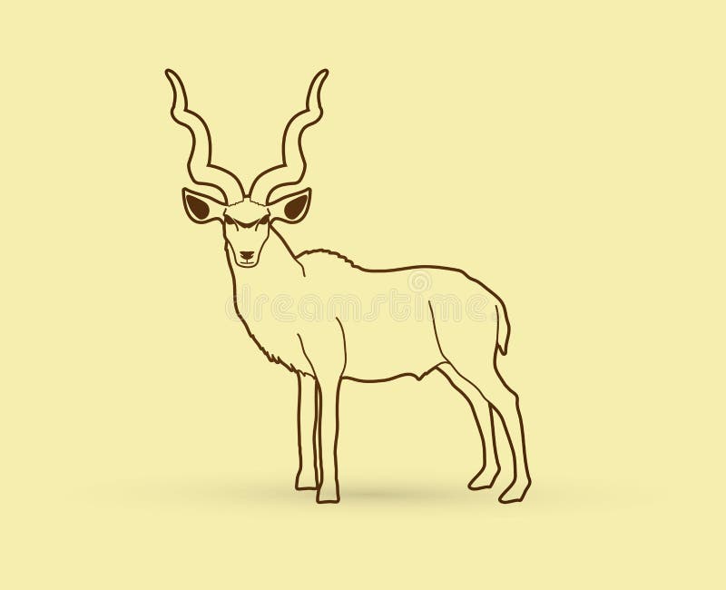 Kudu Standing Graphic Vector. Stock Vector - Illustration of background ...