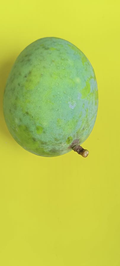 Kuini Fruit or Also Known As Mango is a Fruit Native To Indonesia Stock ...