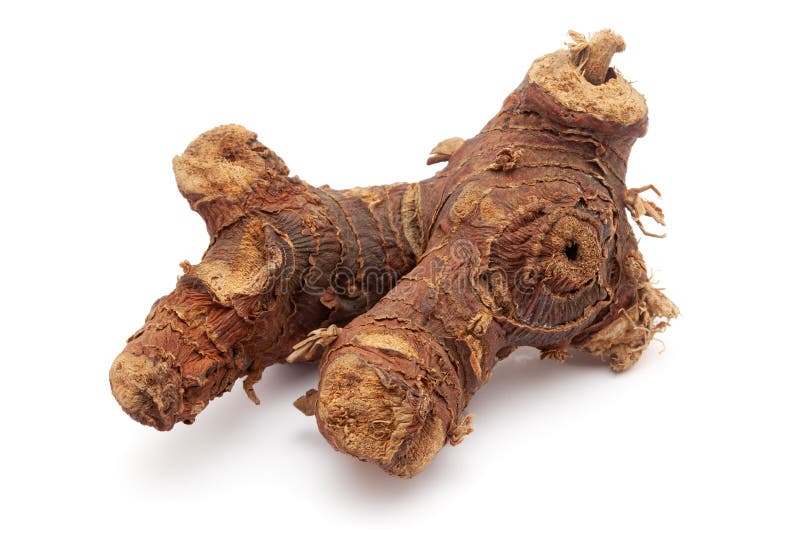 Kulanjan Roots Stock Photos - Free & Royalty-Free Stock Photos from ...