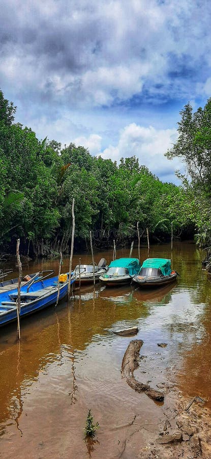 Kumai Seberang Boat Port Stock Photos - Free & Royalty-Free Stock ...