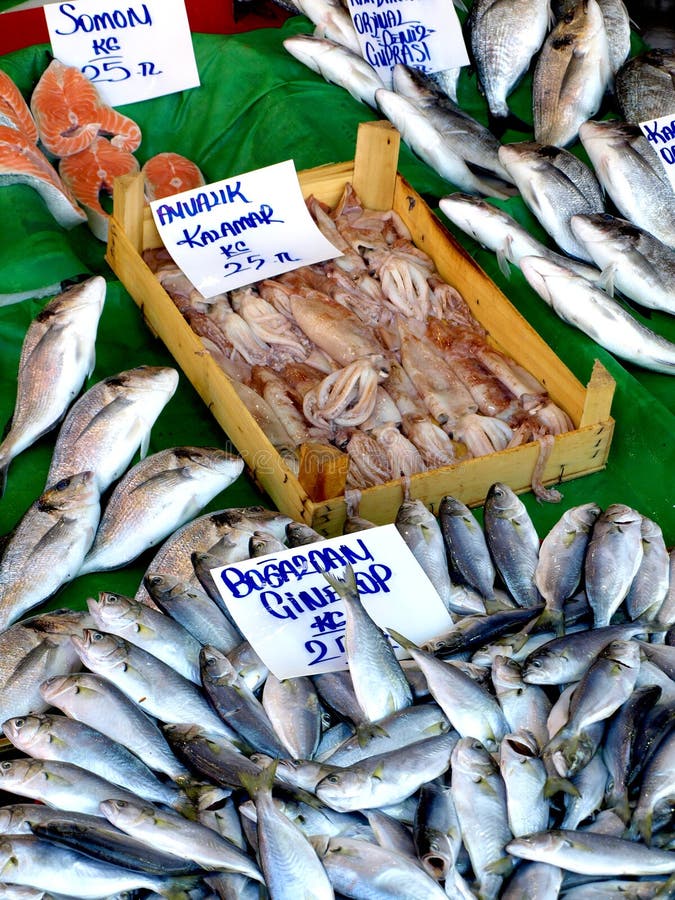 Fish for Sale at Istanbul Kumkapi Fish Market Turkey Stock Image ...