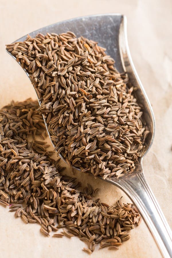 Kummel seeds stock photo. Image of view, spoon, herb - 38349288