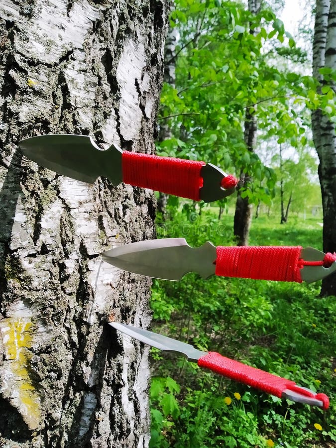Kunai Combat Throwing Knife Stock Image - Image of board, attack: 248192627