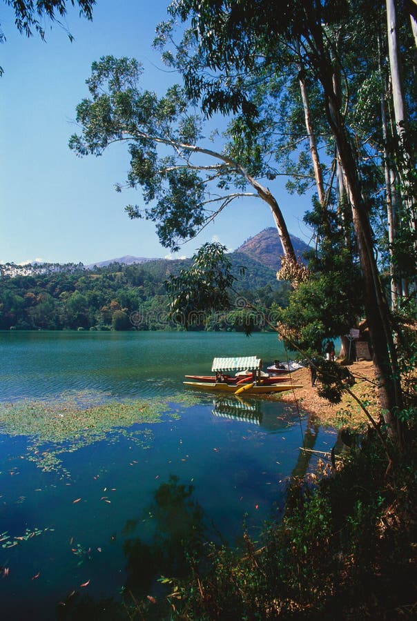 Indian Dams Reservoir Kundala Dam Munnar Kerala India Stock Image ...