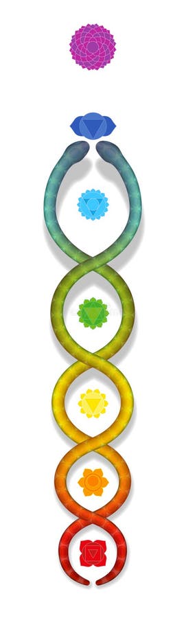 Kundalini Serpent Chakras Rainbow Colored Snake Symbol Stock Vector ...