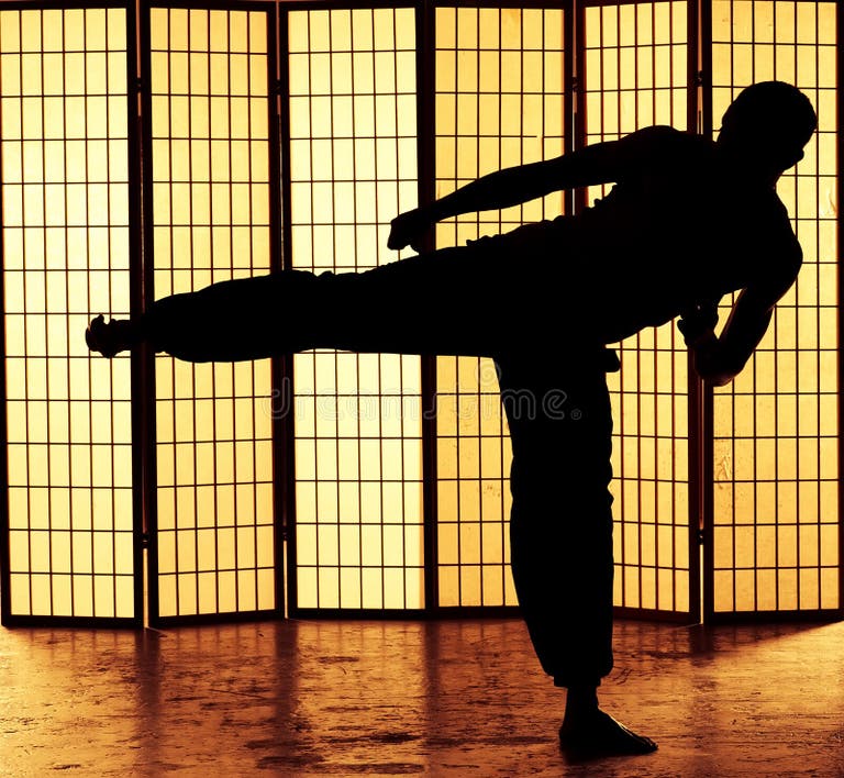 Kung fu kick stock image. Image of fitness, recreation - 23112011
