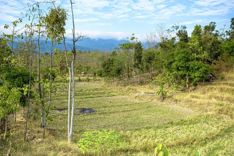 Kuningan west java stock image. Image of countryside - 290886035