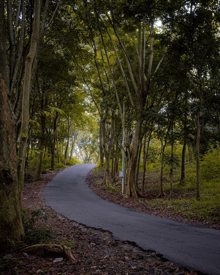 Kuningan west java stock image. Image of java, trees - 289452479