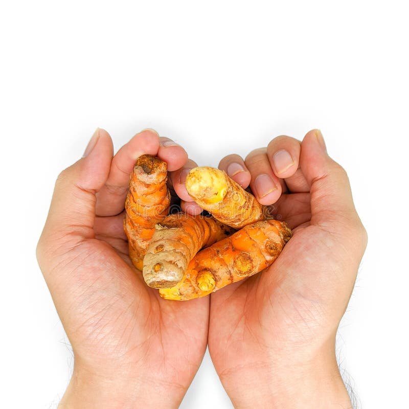 Fresh Turmeric or Curcuma in a Isolated on a White Background.. Also ...