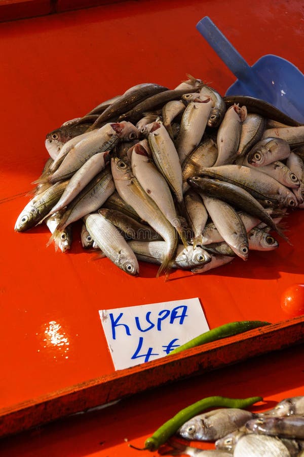 Kupa fish stock photo. Image of turkey, natural, seafood - 43064408