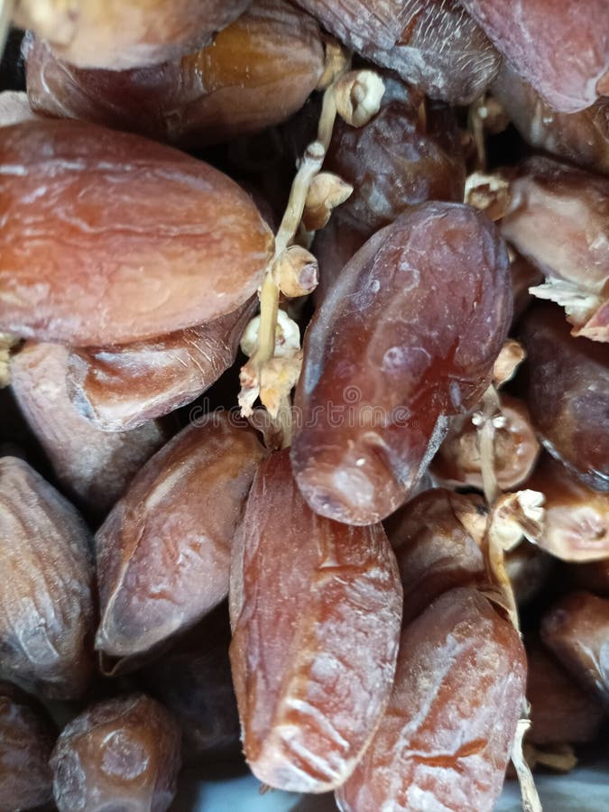 Kurma Fruit Dates Typical of the Month of Ramadan Stock Photo - Image ...