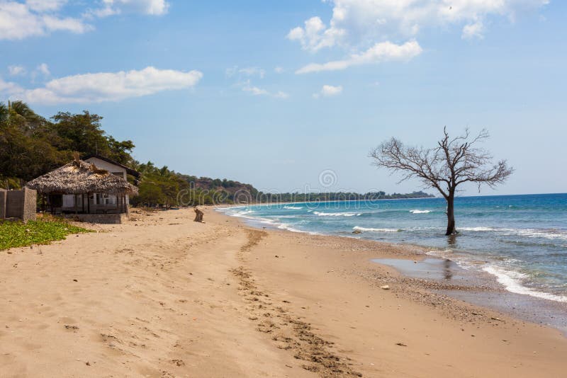 Kustlijn De Oost- Van Timor Stock Foto - Image of toneel ...