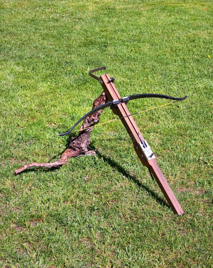 1,873 Kusza Zdjęcia - Bezpłatne i z licenncją Royalty-Free Zdjęcia od ...