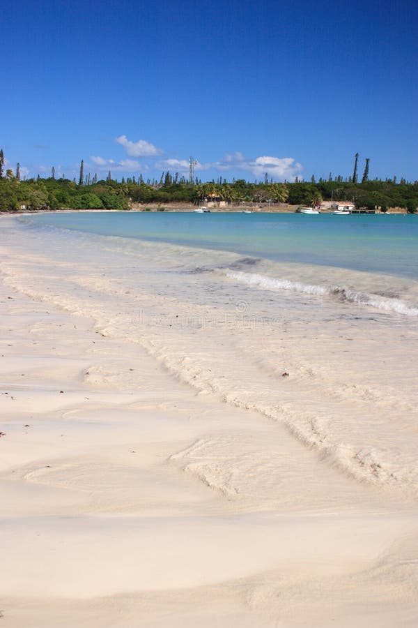 Kuto Bay stock image. Image of pines, travel, isle, south - 8587545