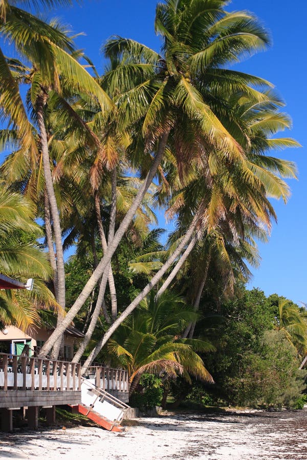Kuto Beach stock photo. Image of france, south, veranda - 8448856