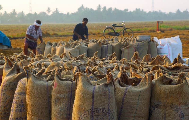 Kuttanadu, Kerala. redactionele stock afbeelding. Image of boot - 34920654