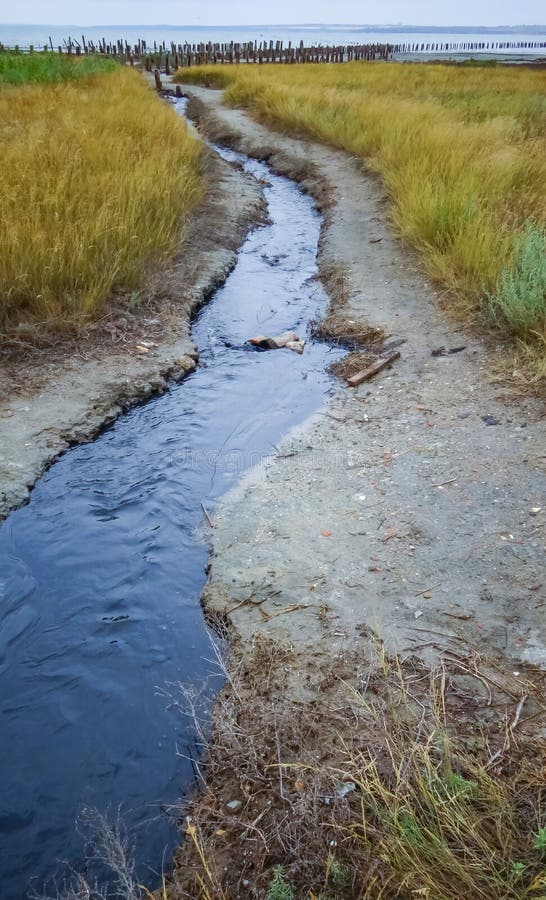 From the Kuyalnik Sanatorium Flows Out Black Water with Curative Liman ...