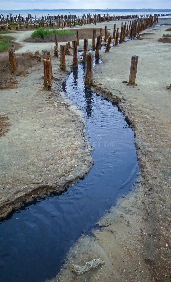 From the Kuyalnik Sanatorium Flows Out Black Water with Curative Liman ...