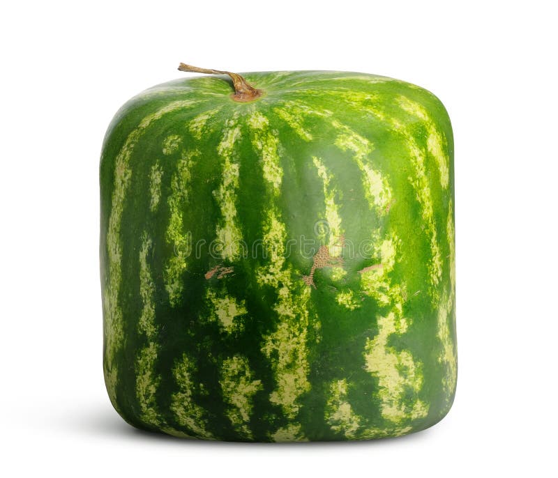 Kwadratowy arbuz obraz stock. Obraz złożonej z smakowity - 24909979