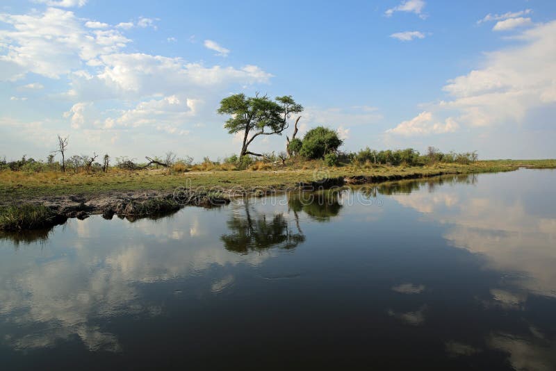 Kwando River stock photo. Image of flowing, namibia, cloud - 35267262