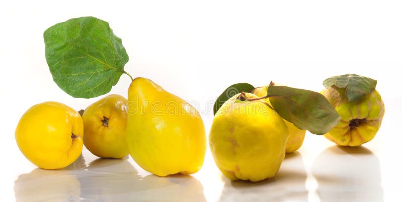 Kweepeer stock foto. Image of najaar, voedingsmiddel - 17154814