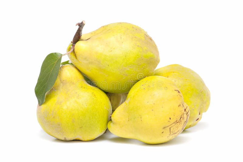 Verse Kweepeer stock afbeelding. Image of organisch, dieet - 17695507