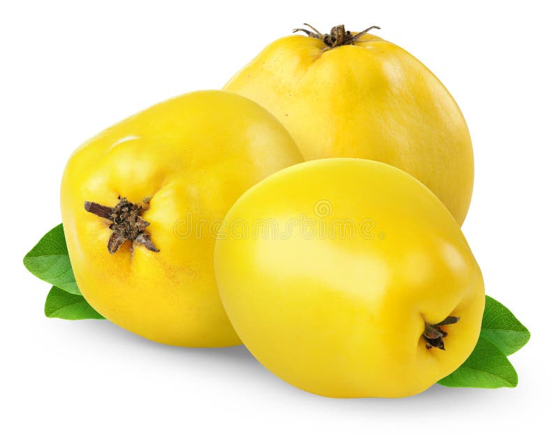 Kweepeer stock afbeelding. Image of ingrediënt, geïsoleerd - 18305257