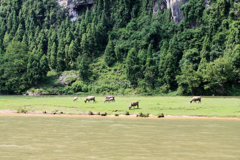 Kweilin stock image. Image of chinese, beautiful, asian - 12649915