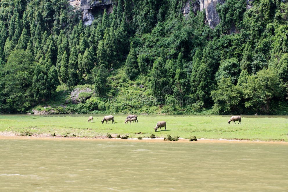 Kweilin imagen de archivo. Imagen de hermoso, porcelana - 12649915