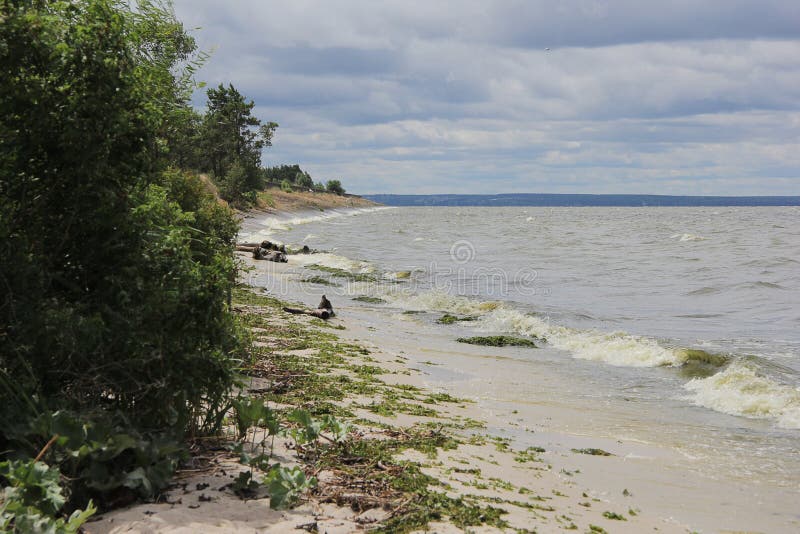 Kyiv sea stock photo. Image of lake, waves, seaweed, trees - 86100652