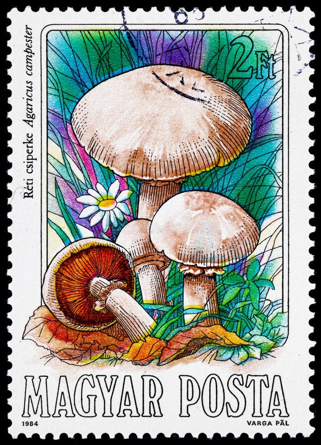 Kyiv Ukraine May 11 2025 Magyar Postage Stamp Mushrooms Stock Photos ...