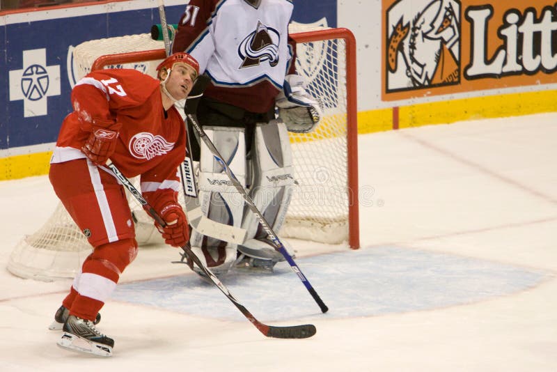 Kyle Calder Has Uma Vara Em Sua Orelha Foto de Stock Editorial - Imagem ...