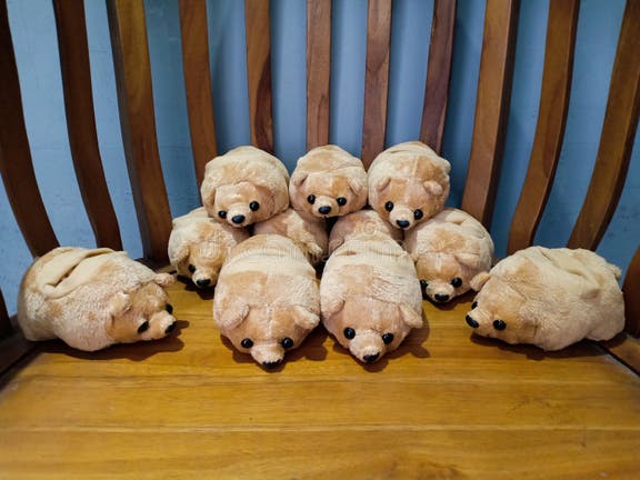 Kylla Collection & X28; Dool & Perfume & X29; Stock Image - Image of ...