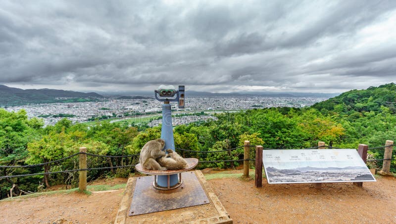 Kyoto from Arashiyama Mountain with Monkey in Viewpoint Stock Photo ...