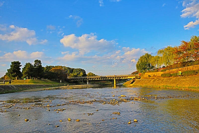 Kyoto, Japan Kamo River in Fall Seaon Stock Photo - Image of asian ...