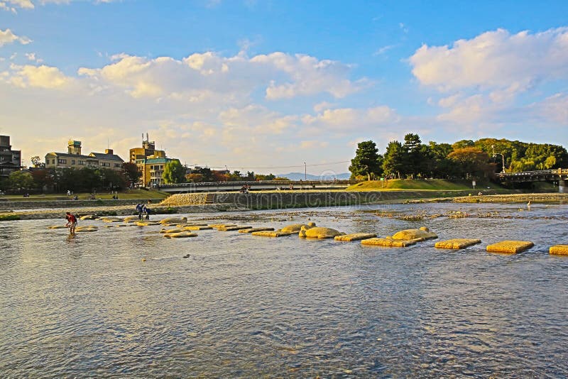 Kyoto, Japan Kamo River in Fall Seaon Stock Photo - Image of garden ...