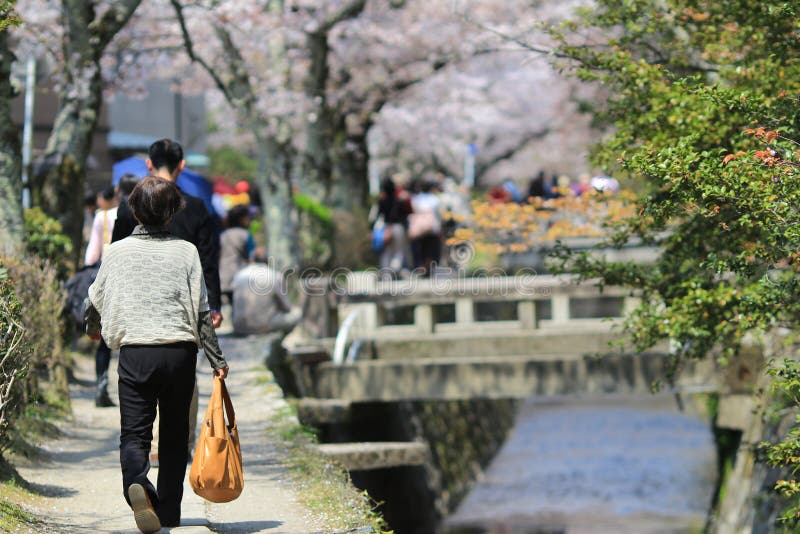 Kyoto, Japan at Philosopher S Walk in the Springtime. Editorial Image ...