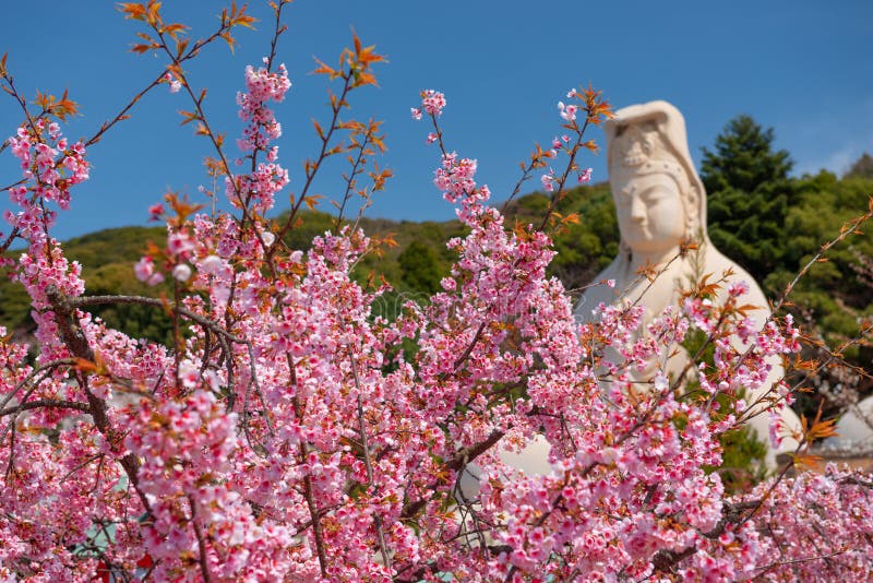 Kyoto, Japan Walking Trail in Spring Stock Photo - Image of foliage ...