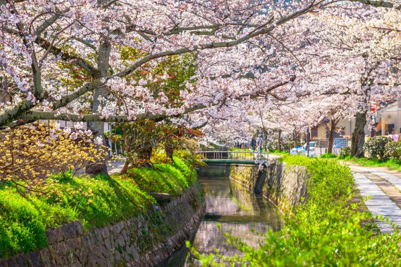 Kyoto, Japan Walking Trail in Spring Stock Photo - Image of asian ...