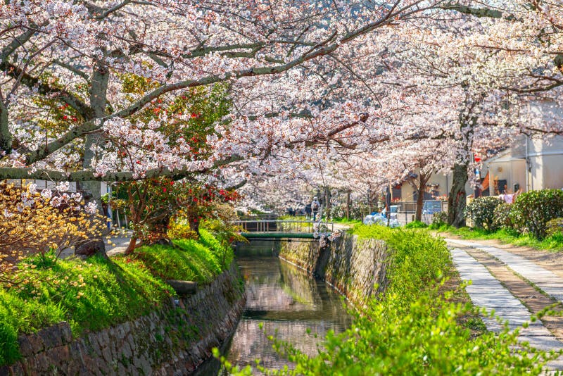 Kyoto, Japan Walking Trail in Spring Stock Photo - Image of outdoors ...