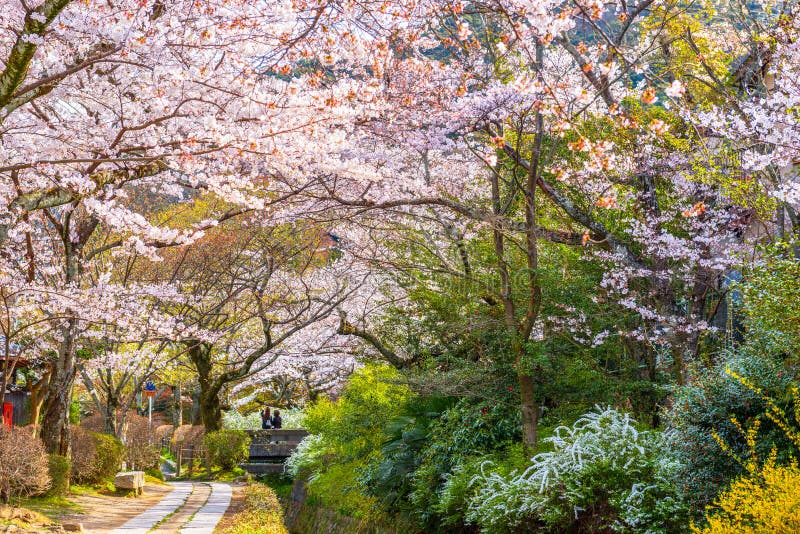 Kyoto, Japan Walking Trail in Spring Stock Image - Image of district ...